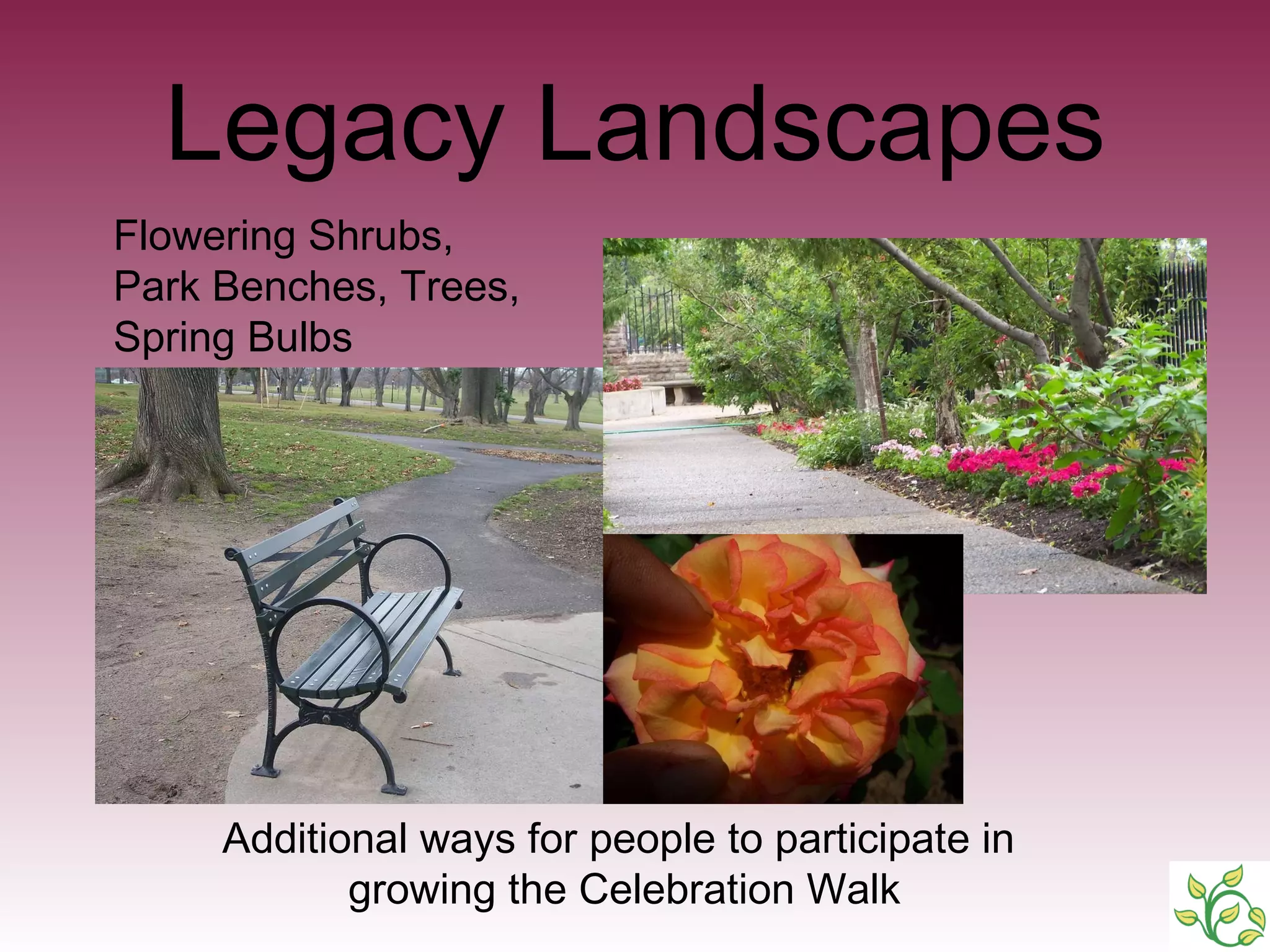 Celebration Walk Siegel | PPT