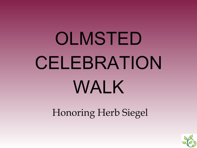 Celebration Walk Siegel | PPT