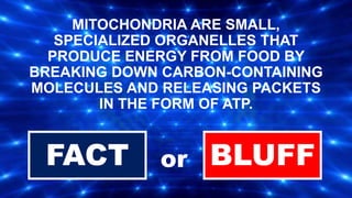 Celebrity bluff | PPTX