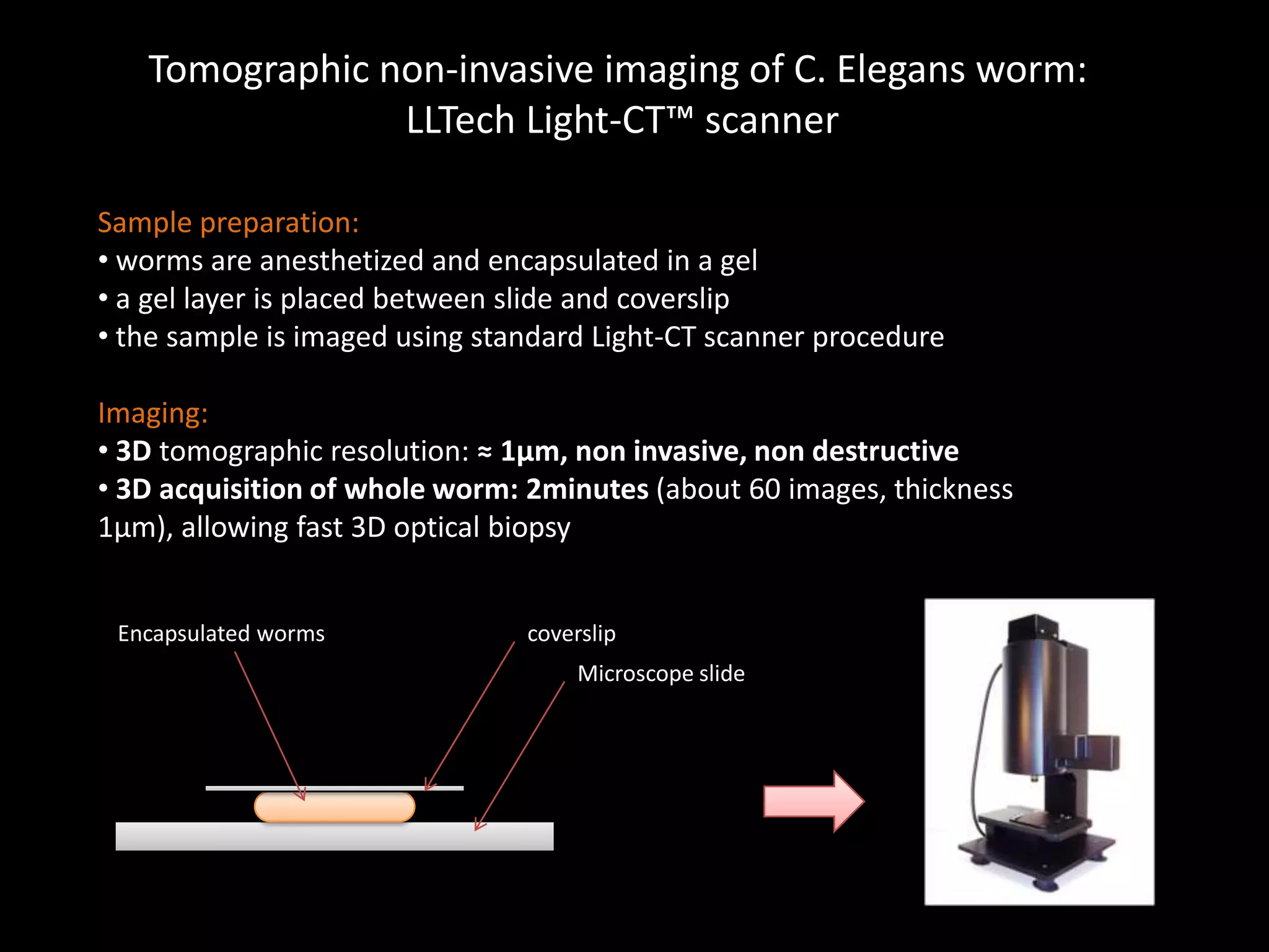 LLTech -Imaging C Elegans Worm in 3D with Light-CT | PPT