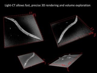 LLTech -Imaging C Elegans Worm in 3D with Light-CT | PPT