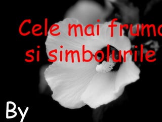 Flori si simboluri | PPTX