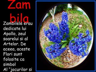 Flori si simboluri | PPTX