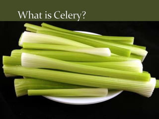 Celery Introduction | PPT