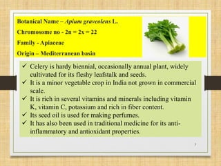 Underexploited Leafy vegetable crop Celery.pdf