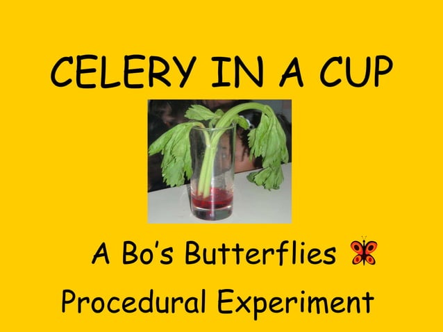 Celery In A Cup | PPT