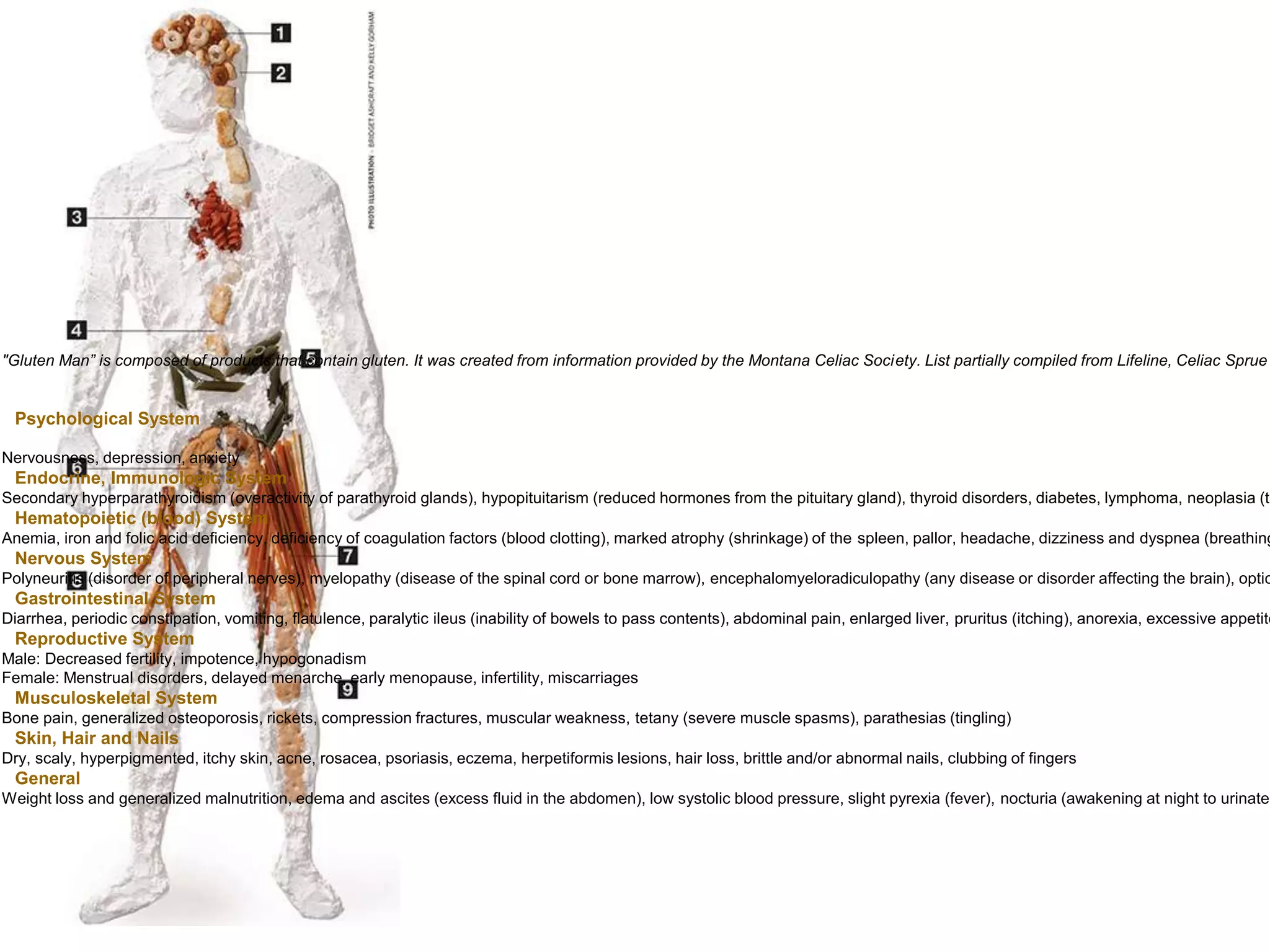 Celiac body | PPTX
