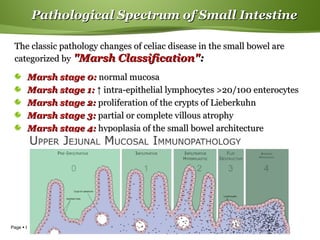 Celiac disease | PPT