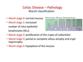 Celiac disease in children 2021 | PPT