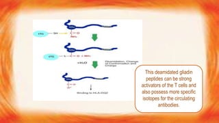 Celiac Disease - Sprue, Nontropica sprue | PPTX | Digestive Disorders ...