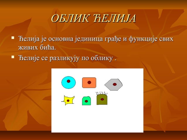 Celija | PPT