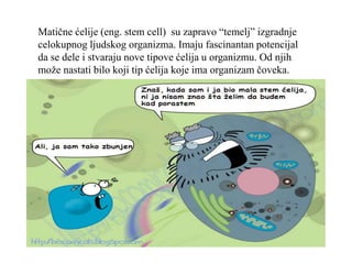 Celija i tkiva | PPT