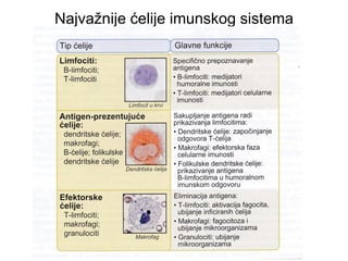 Ćelije, tkiva i organi imunskog sistema.pdf