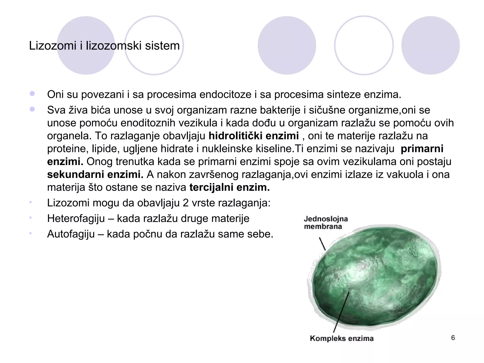 Ćelijske organele - Darko Stevanović - Danijela Veljković | PPT