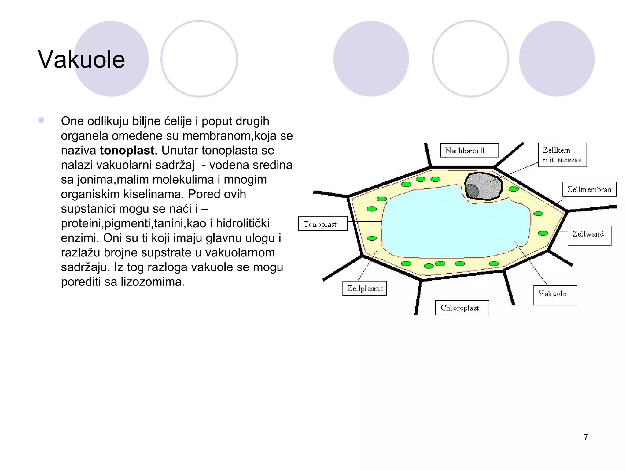 Ćelijske organele - Darko Stevanović - Danijela Veljković | PPT