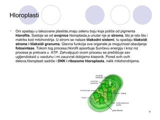 Ćelijske organele - Darko Stevanović - Danijela Veljković | PPT