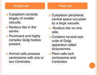 Cell | PPT