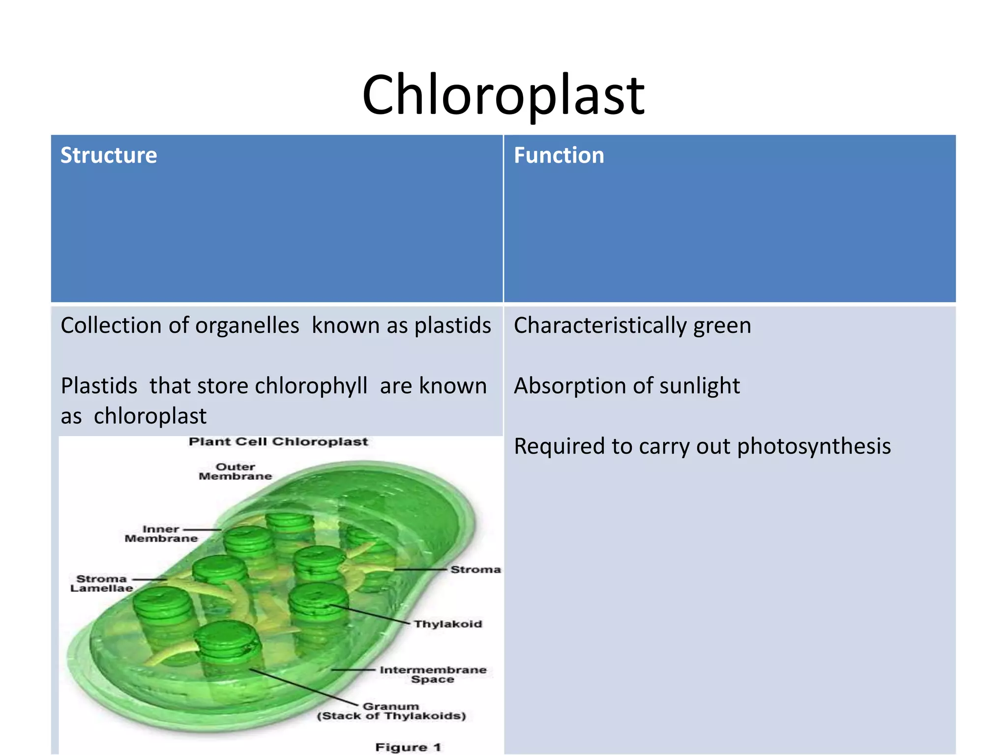 IGCSE Unit 1 Cell | PPTX