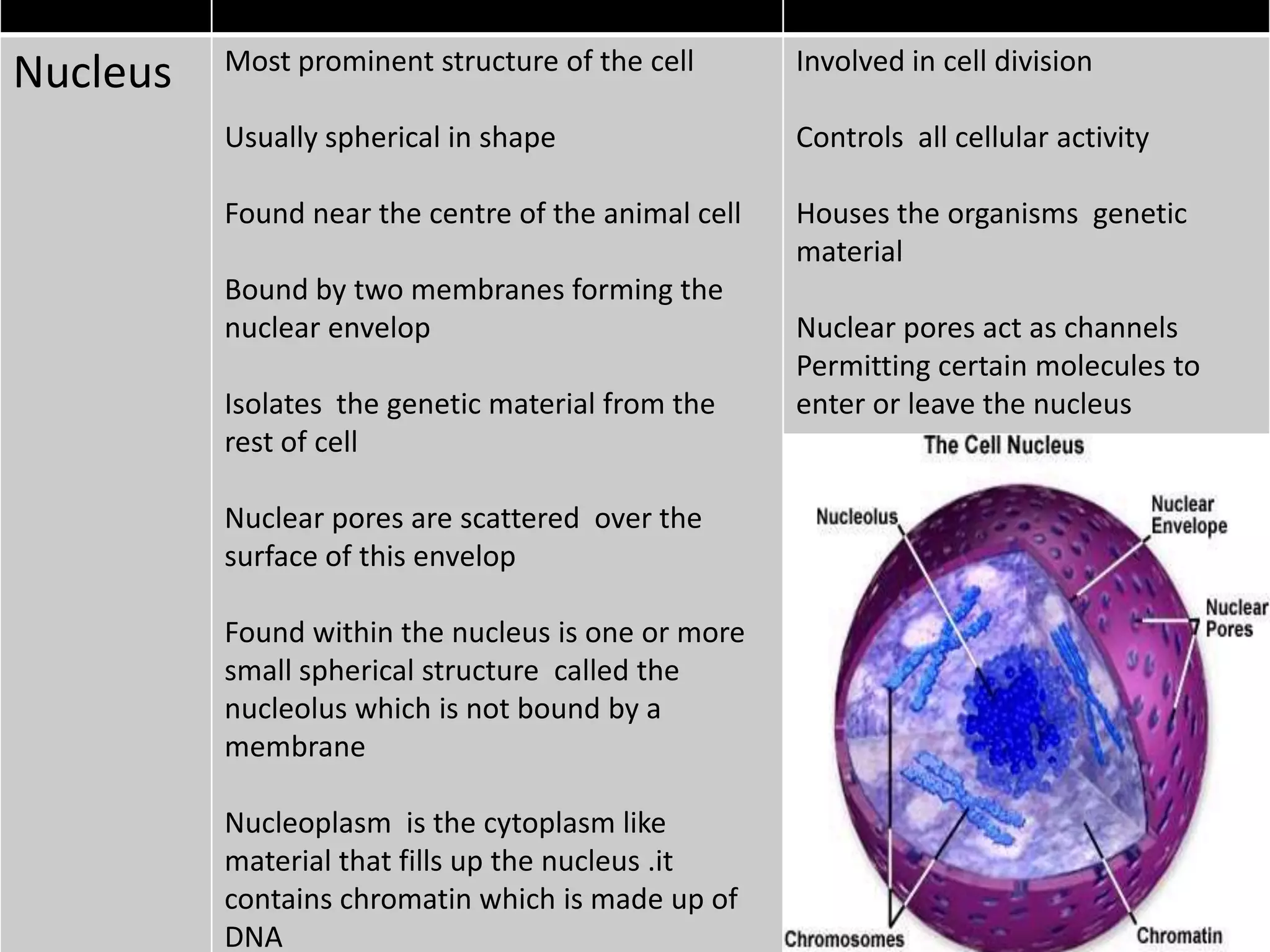 IGCSE Unit 1 Cell | PPTX