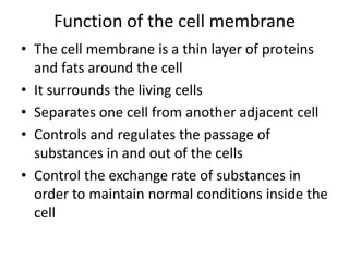 IGCSE Unit 1 Cell | PPTX