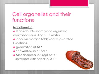 Cell structural and functional unit | PPTX | Biological Sciences | Science