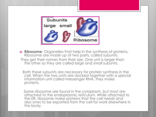 Cell structural and functional unit | PPTX | Biological Sciences | Science