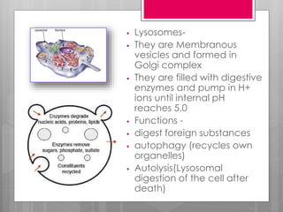 Cell structural and functional unit | PPTX | Biological Sciences | Science
