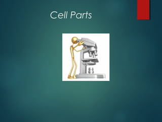 Cell | PPT