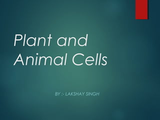 Cell | PPT