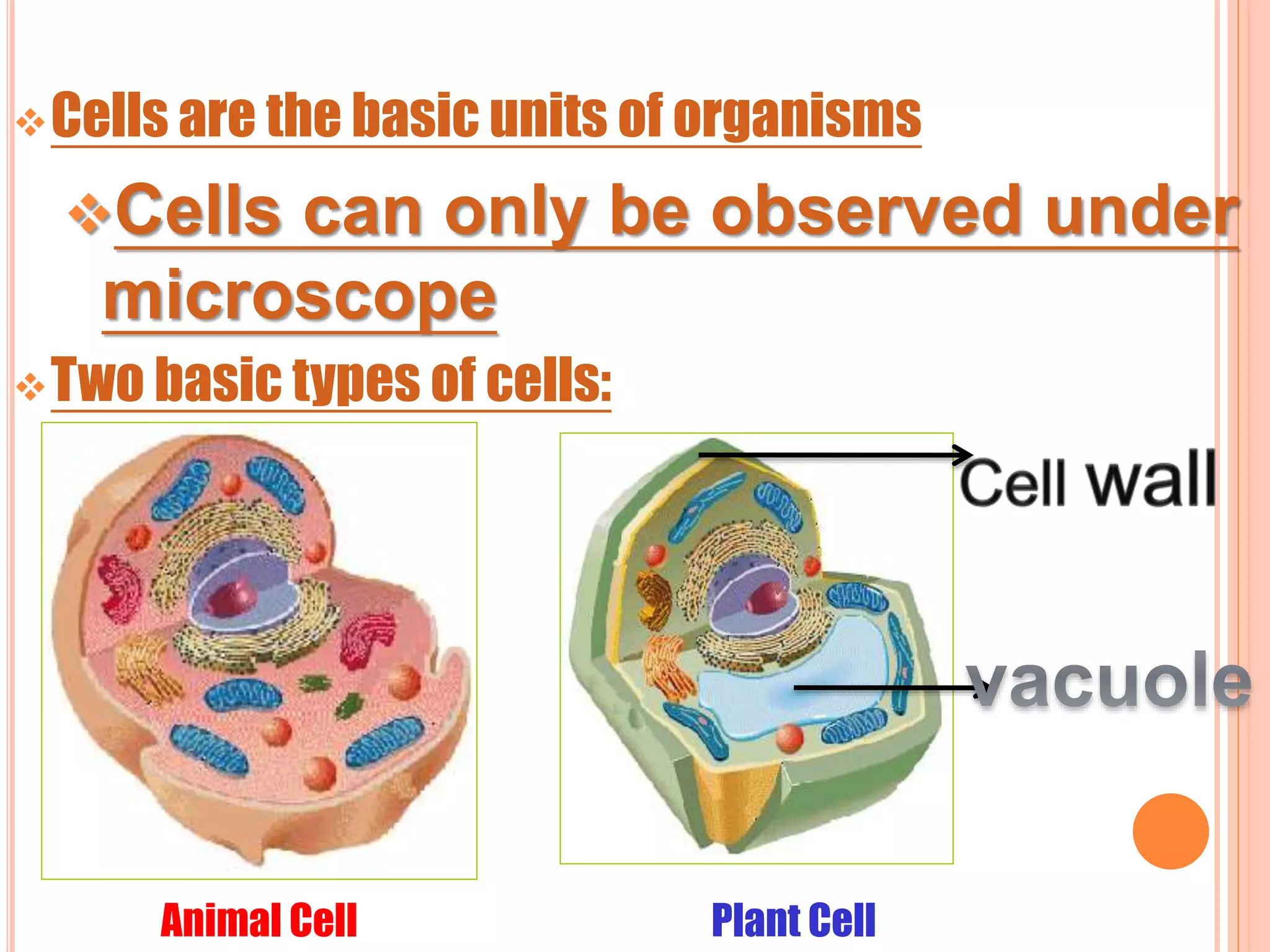 Cell: THE FUNDAMENTAL UNIT OF LIFE | PPTX