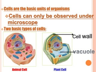 Cell: THE FUNDAMENTAL UNIT OF LIFE | PPTX