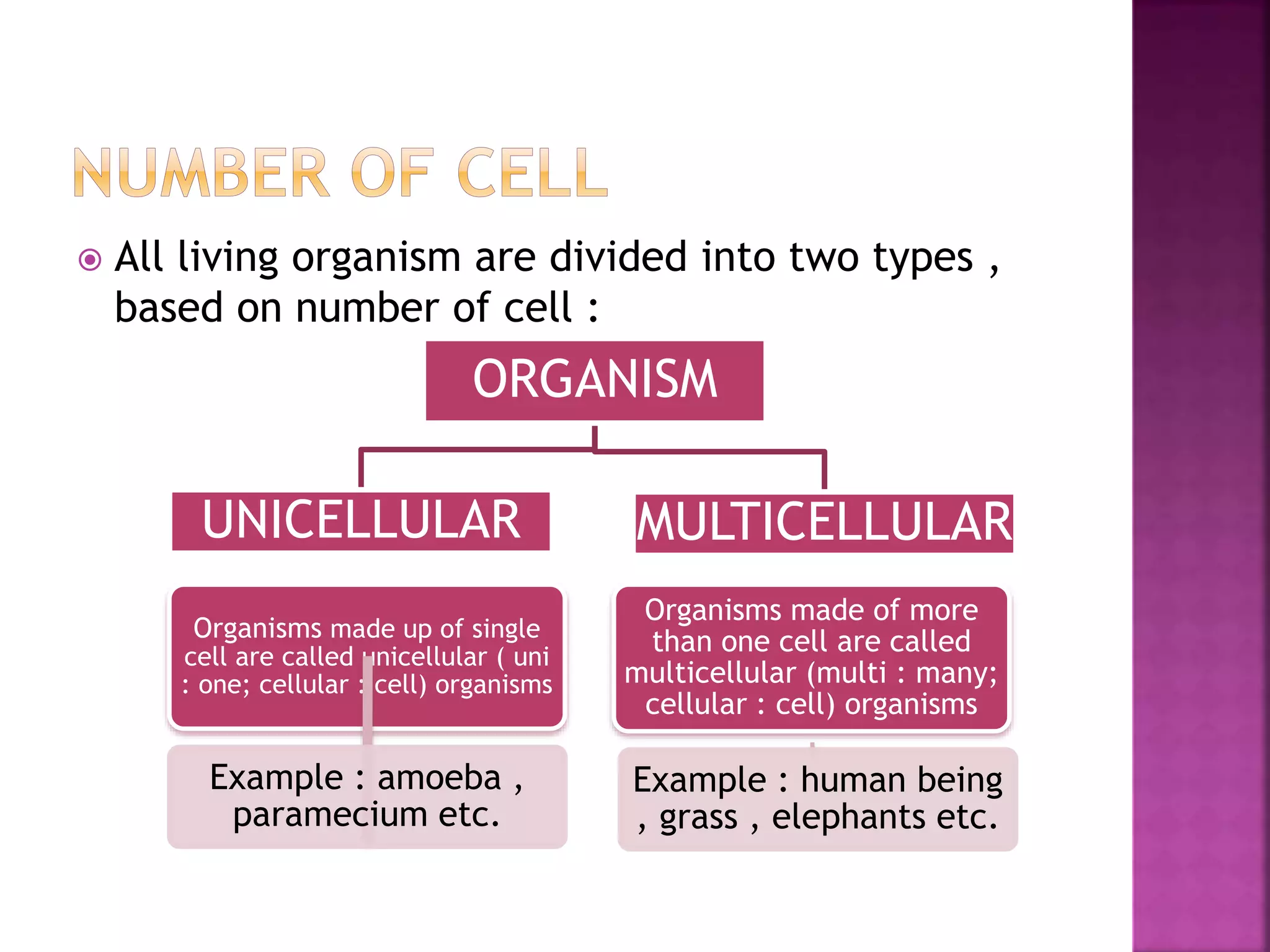 Cell | PPTX