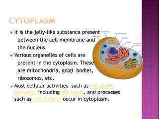 Cell | PPTX
