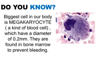Cell: The Basic Unit of Life | PPTX