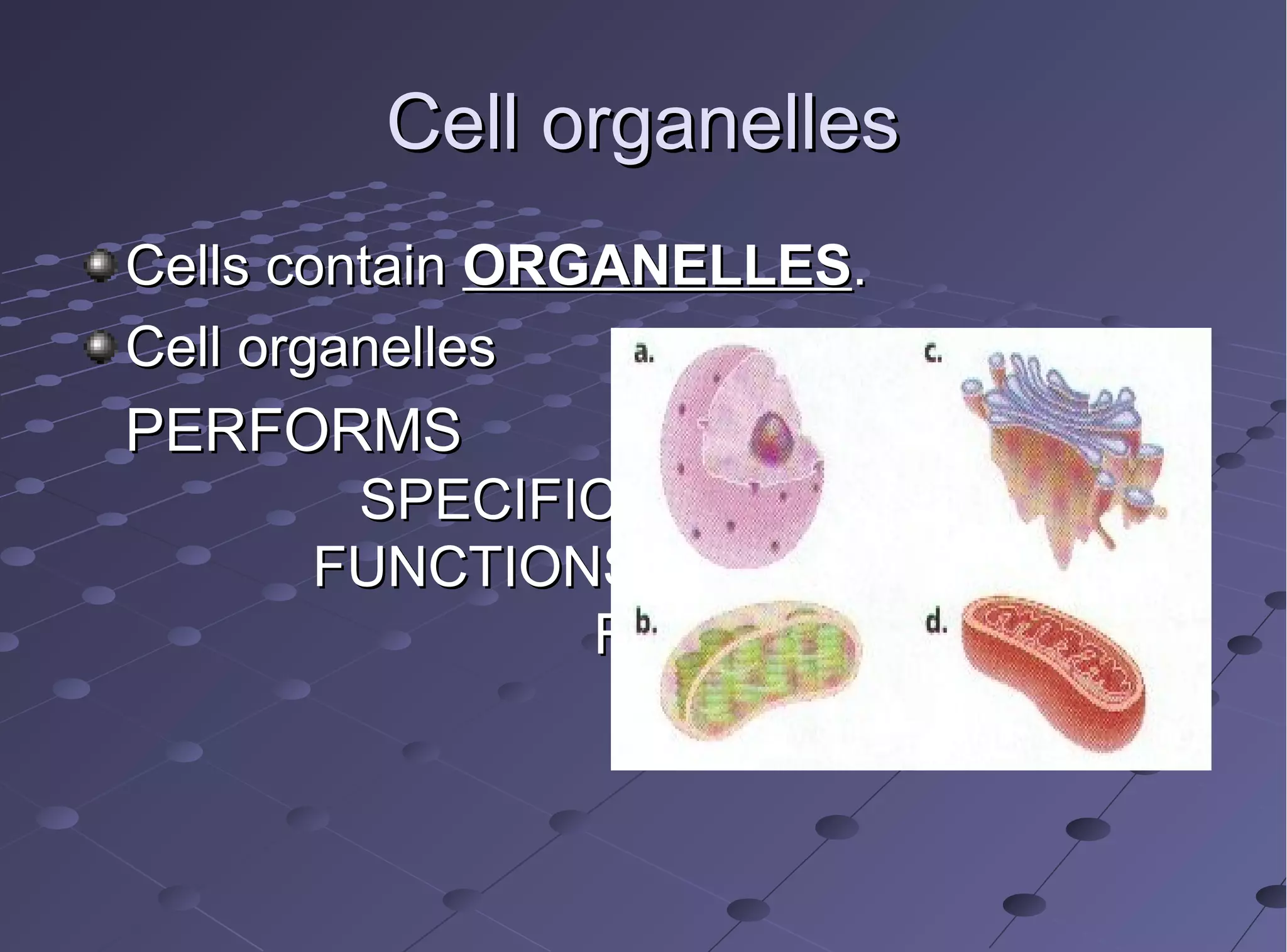 Cell and its organelles | PPT