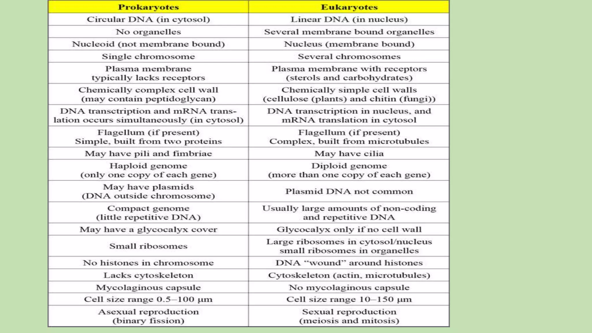 Cell & Types | PPTX