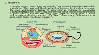 Cell & Types | PPTX