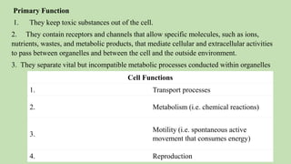 Cell & Types | PPTX