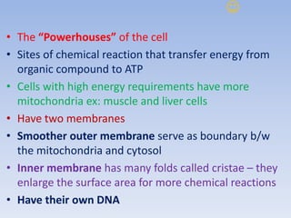 Cell Introduction | PPTX