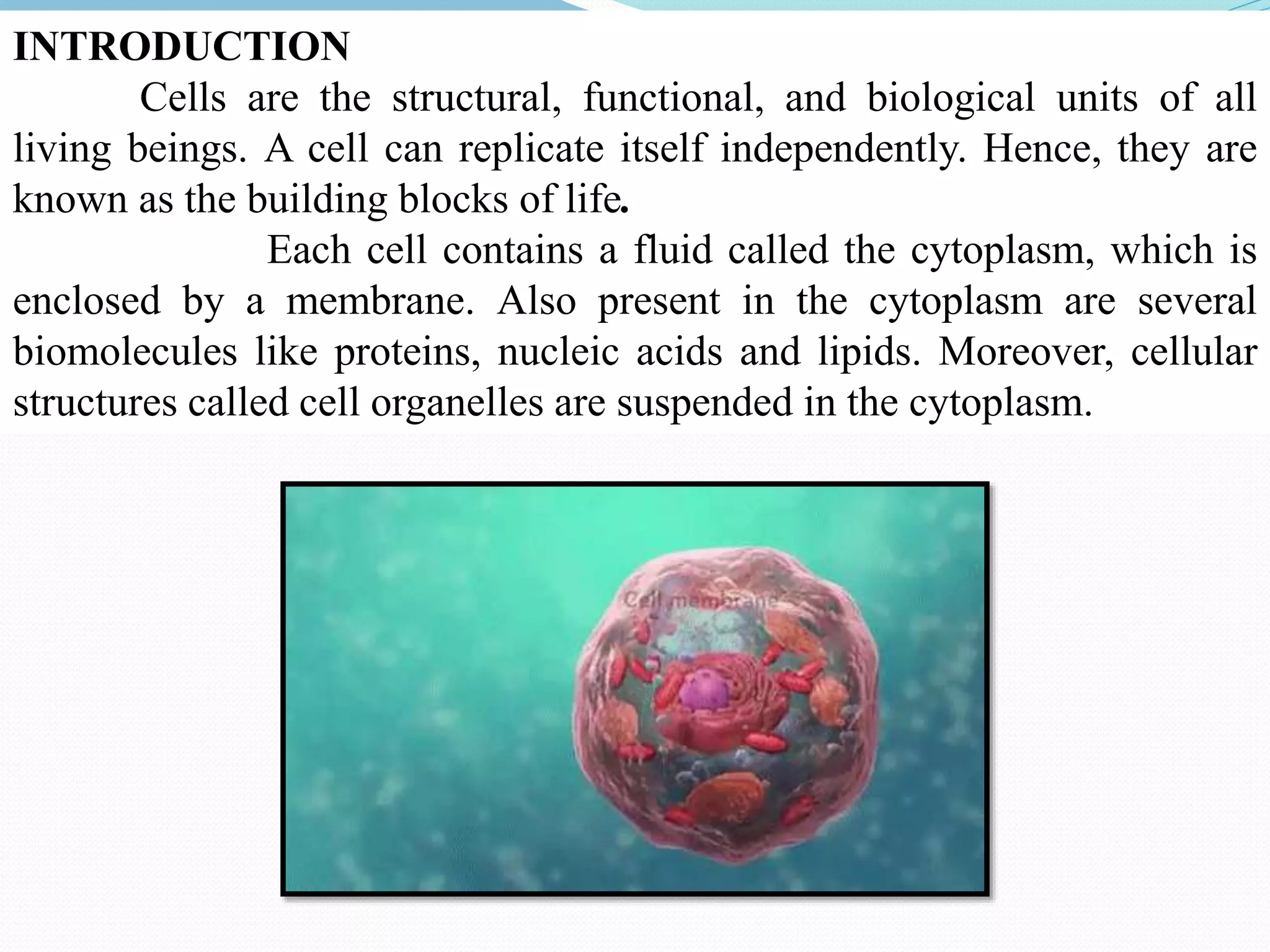 STRUCTURE OF CELL | PPTX