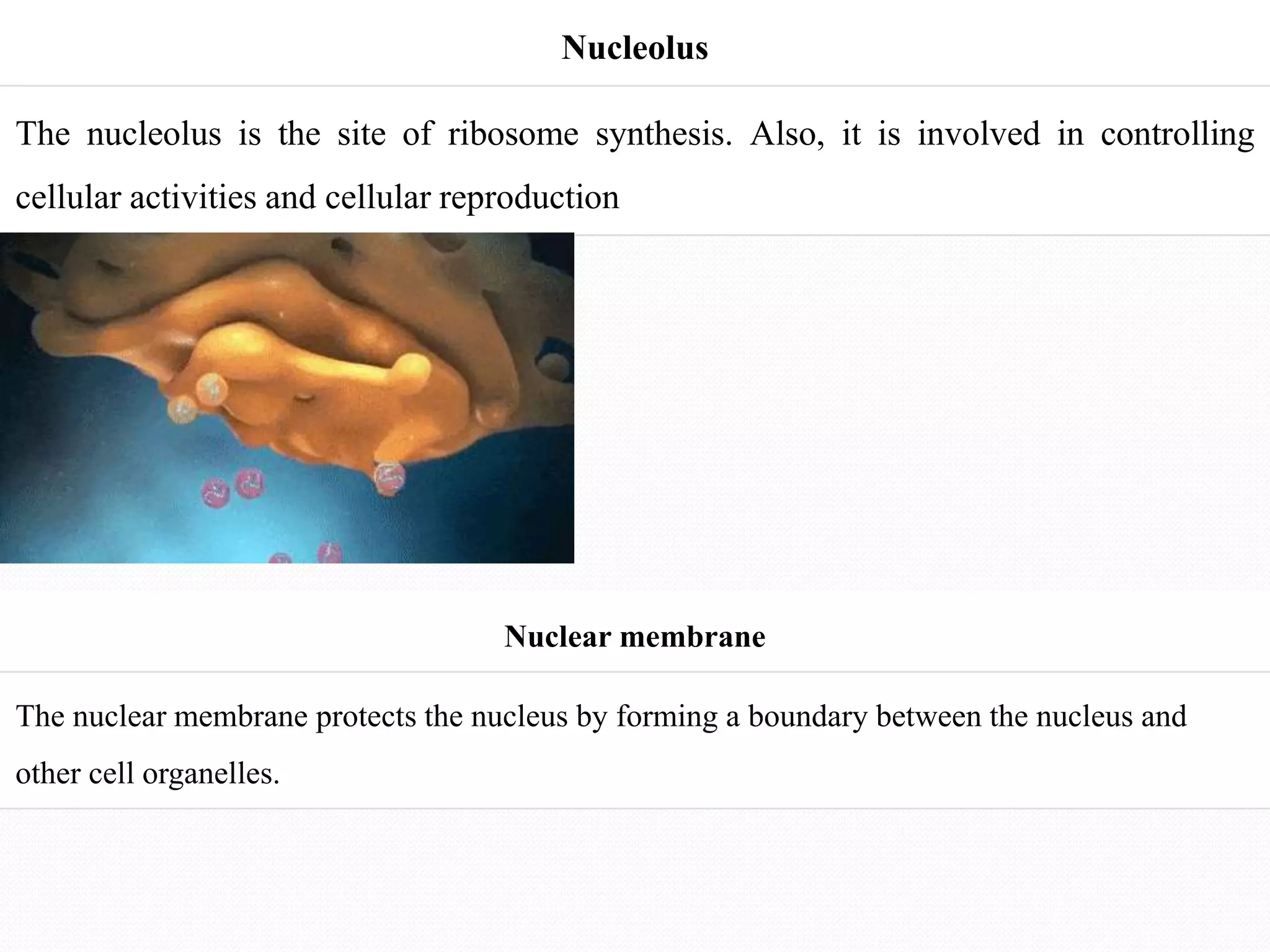 STRUCTURE OF CELL | PPTX