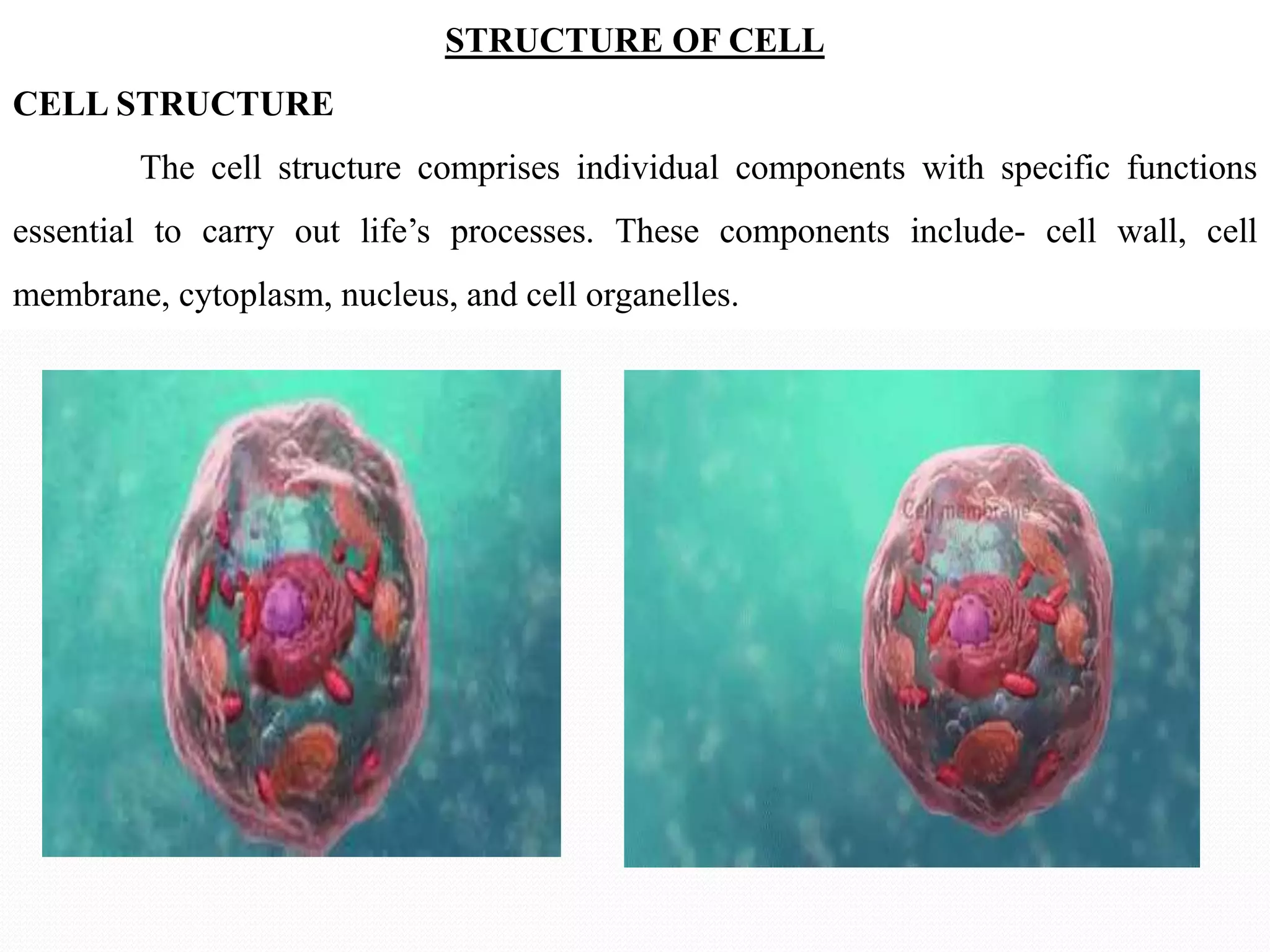 STRUCTURE OF CELL | PPTX