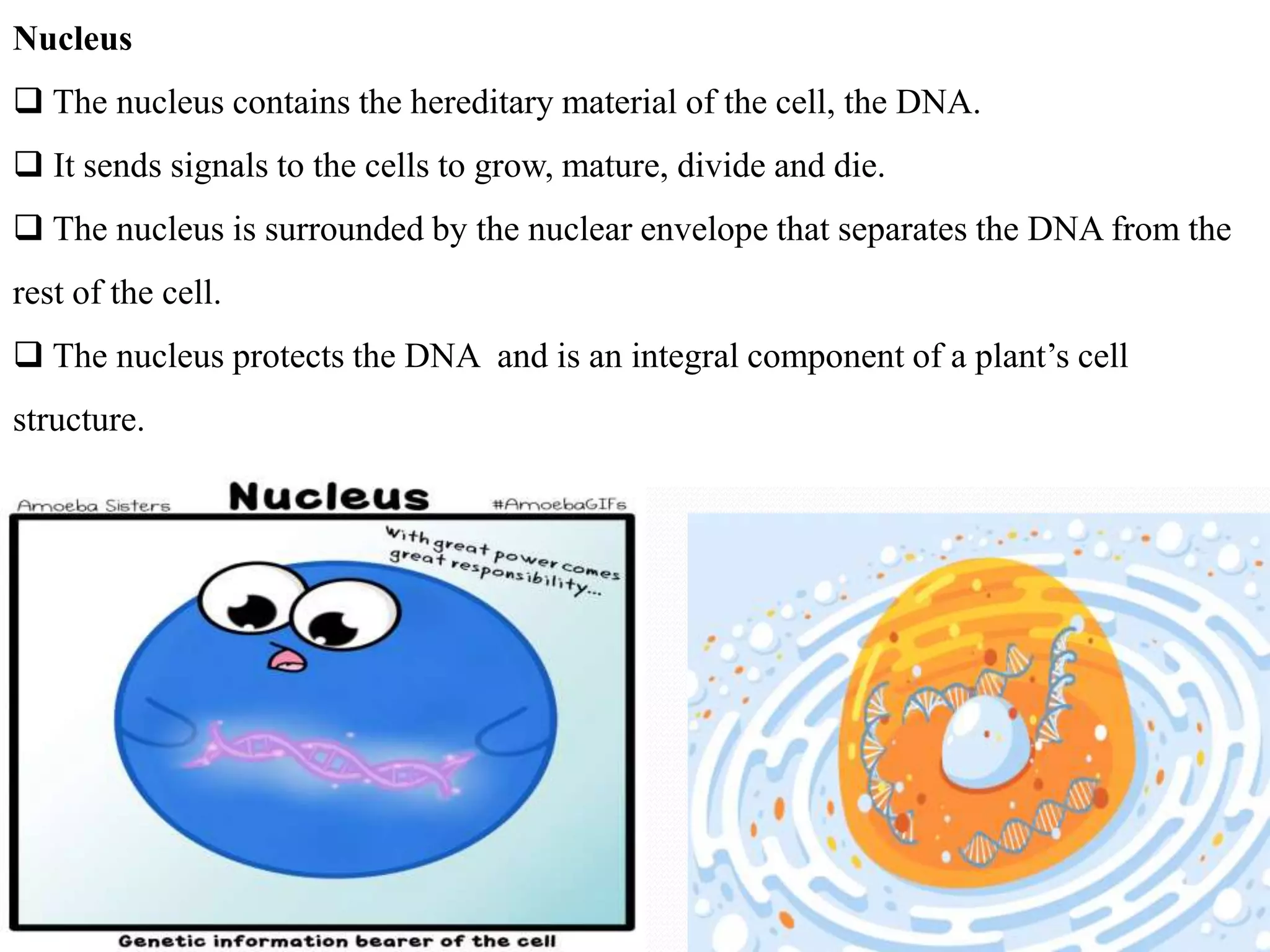 STRUCTURE OF CELL | PPTX