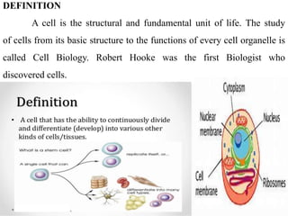 STRUCTURE OF CELL | PPTX