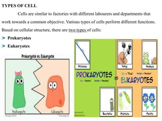 STRUCTURE OF CELL | PPTX