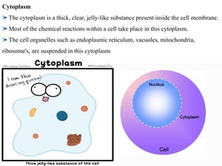 STRUCTURE OF CELL | PPTX