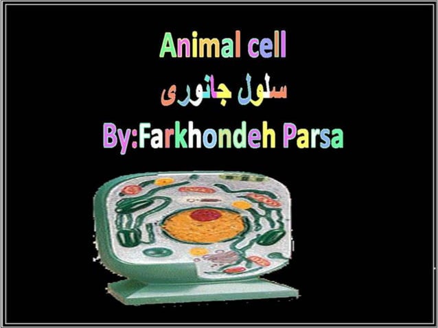 animals Cell | PPT | Free Download