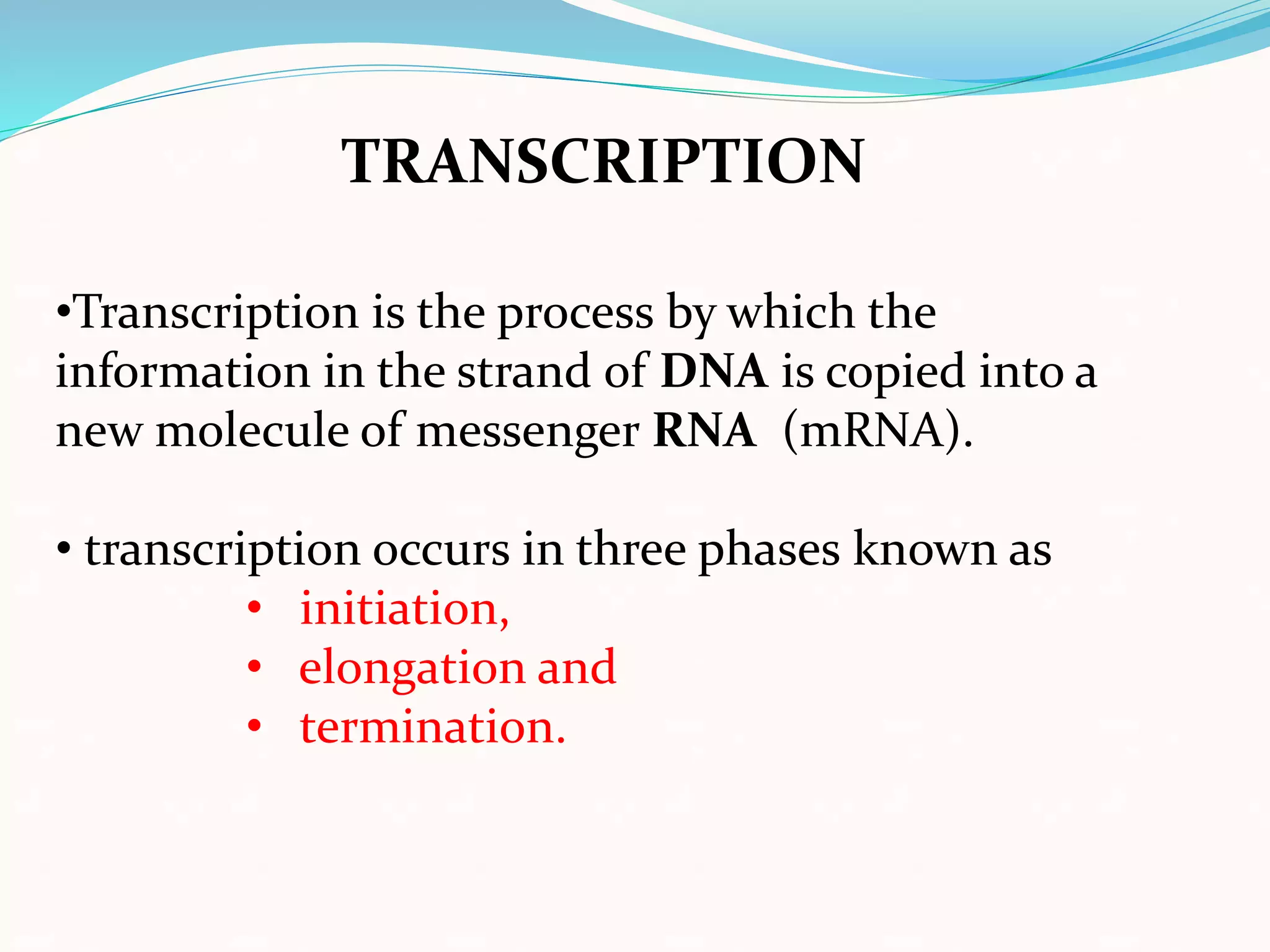 termination of translation - protein synthesis | PPTX