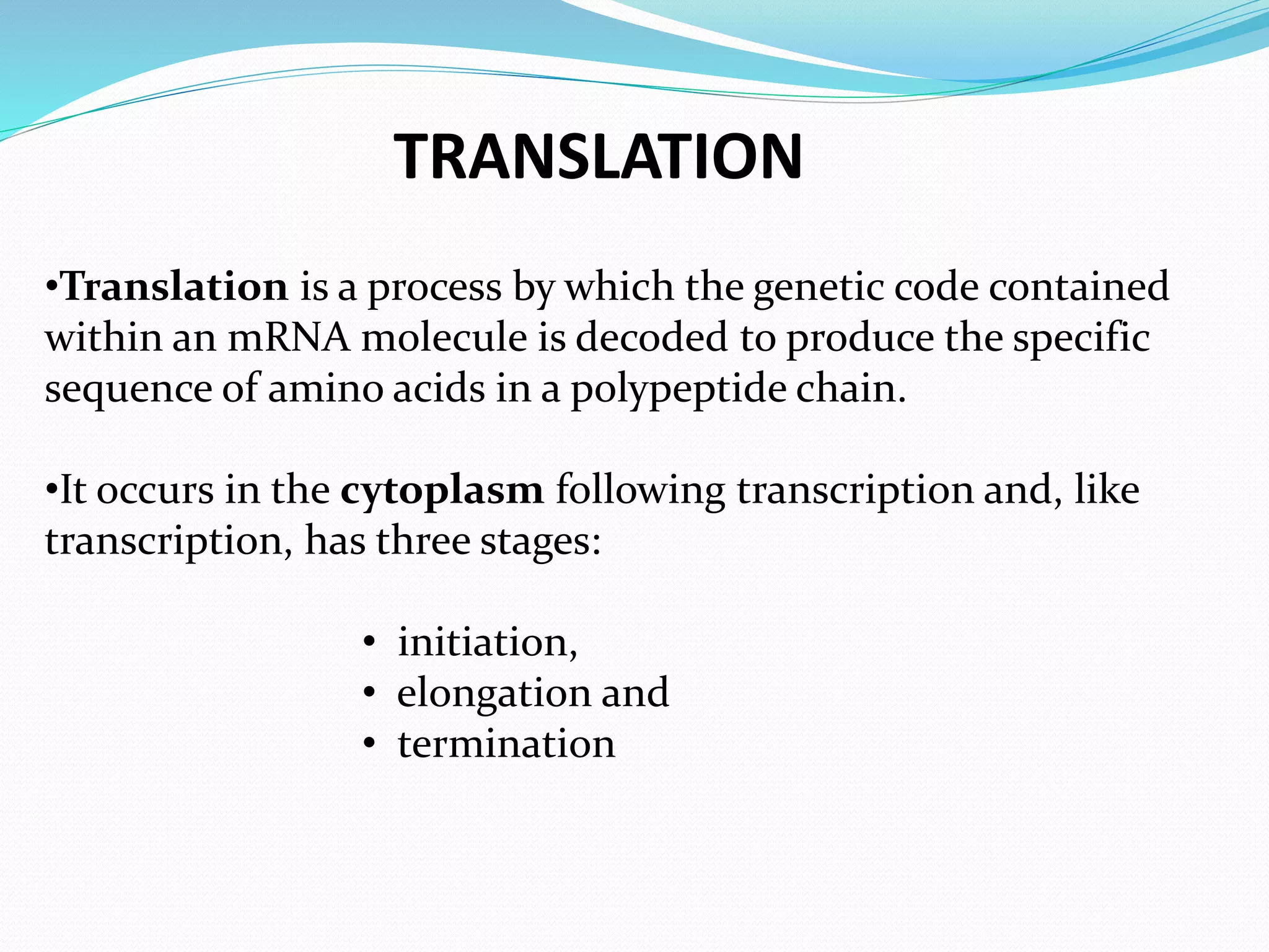 termination of translation - protein synthesis | PPTX