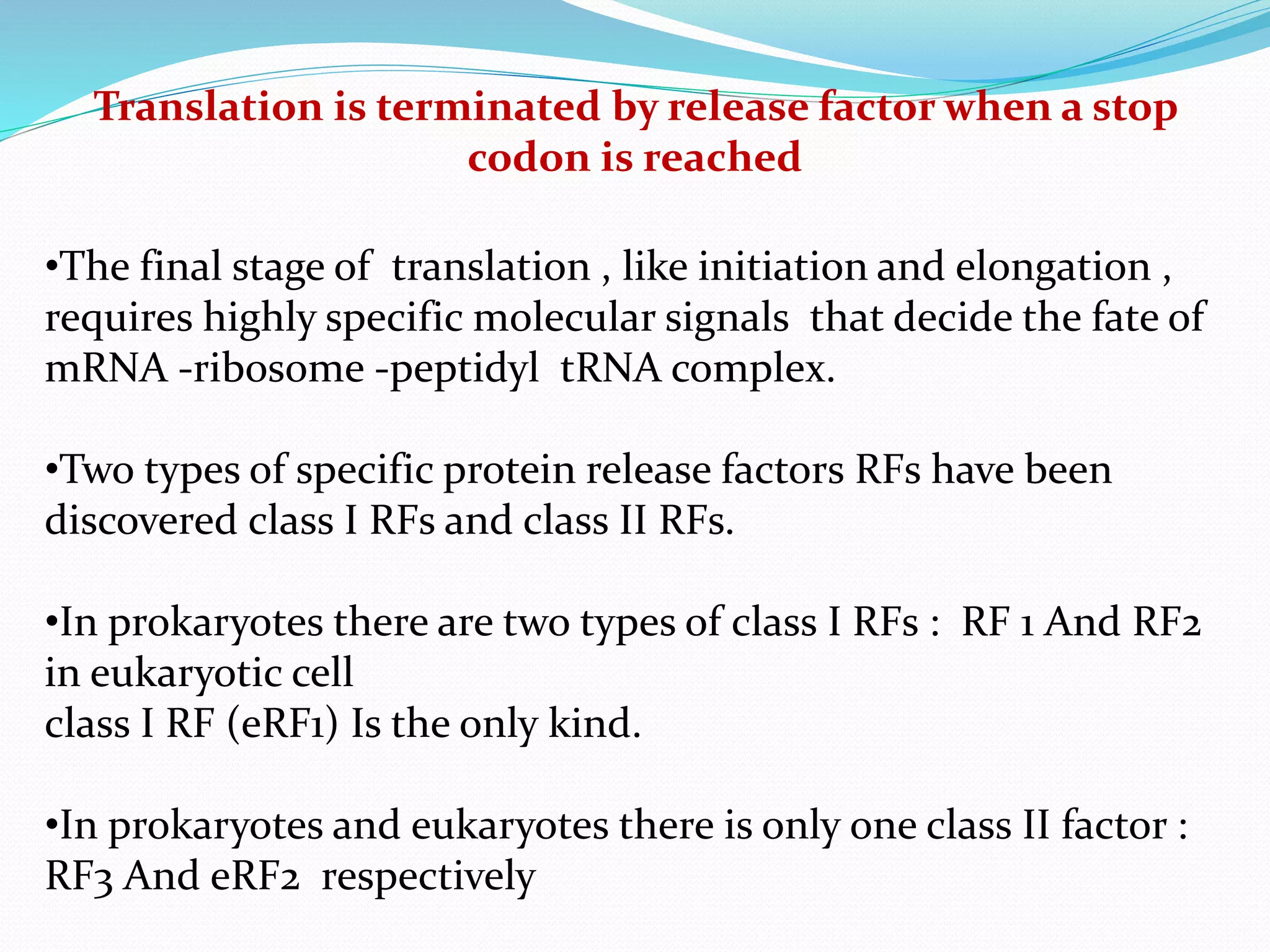 termination of translation - protein synthesis | PPTX